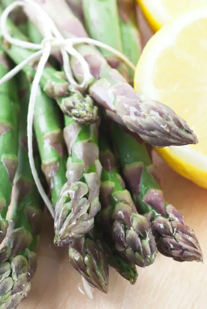 Mold Detox Diet - What to Eat When Detoxing From Mold - EatMoveHack